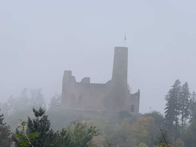 Weinheim - Burg Windeck - Wachenburg Tour | hike | Komoot