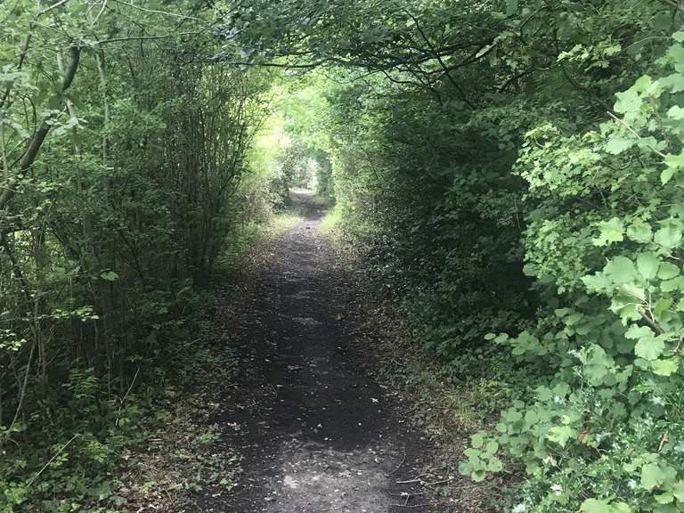 Test Section King Alfreds Way | bike Tour | Komoot