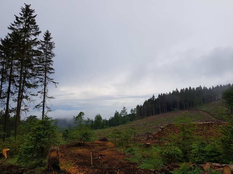 Rennsteig - Von Ruhla/Waltershausen nach Eisenach | Wanderung | Komoot