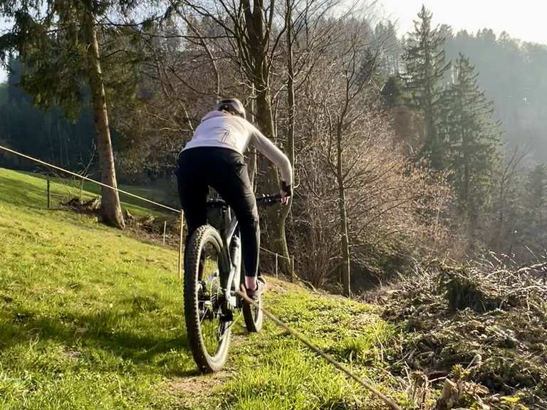Michaelskreuz / Rooterberg auf feinen Trails | Mountainbike-Tour | Komoot