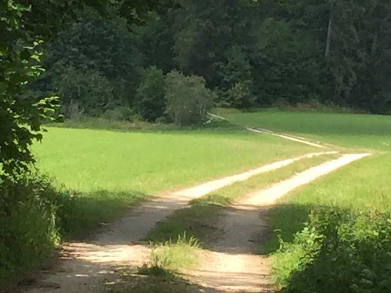 Ulm, Thalfingen, Ulm, Blautopf, Laichingen | Fahrradtour | Komoot