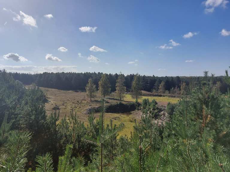 Teverener Heide, Rimburg, Wurm | Fahrradtour | Komoot