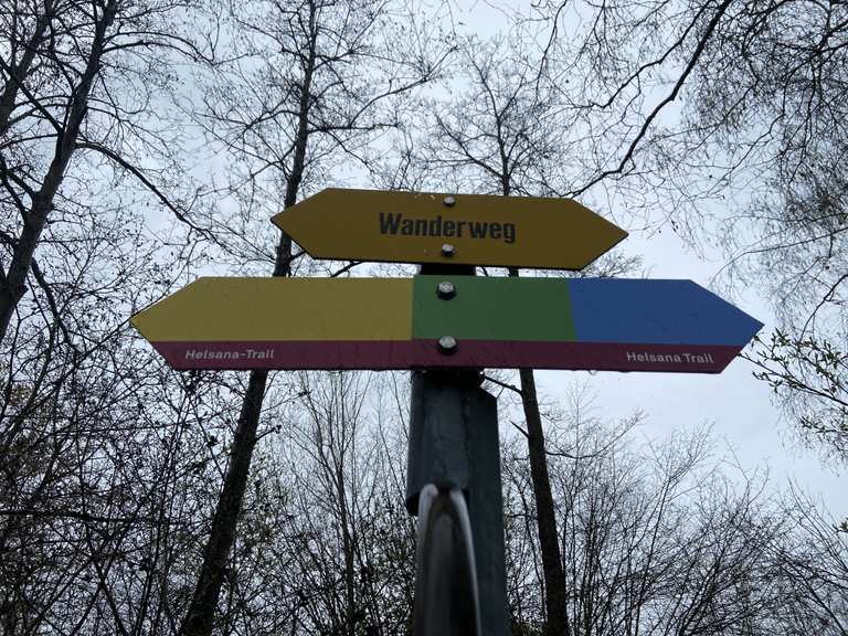 🇨🇭 Nordic-Walking-Runde ab Neftenbach (Helsana-Trail) 🌧️ | Nordic ...