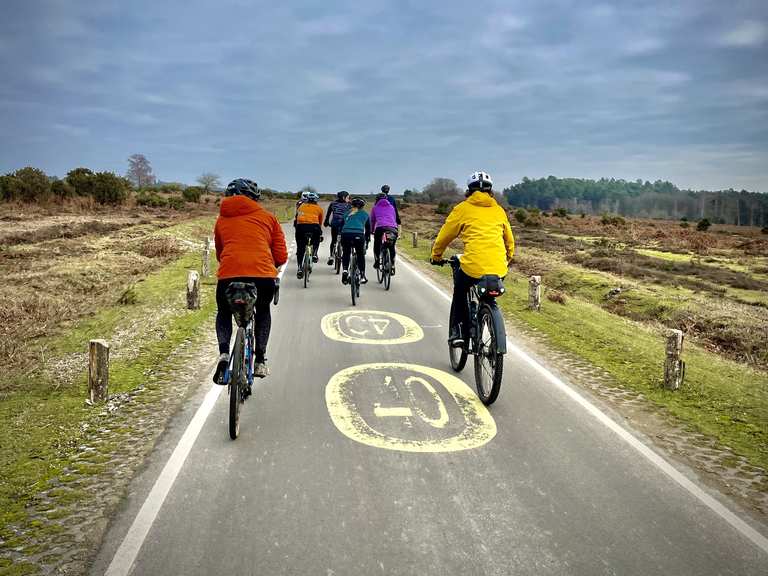 Smooth rolling in the New Forest — 7 scenic road rides | Road Cycling ...