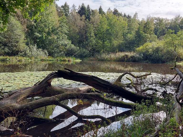 Runde von Buxtehude nach Hedendorf und Neukloster | Wanderung | Komoot