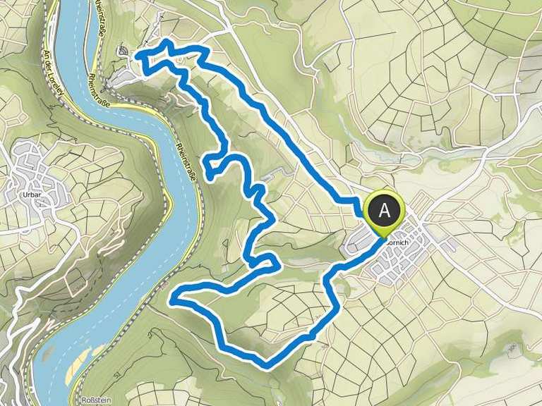 Rheinsteig Rundweg | Wanderung | Komoot