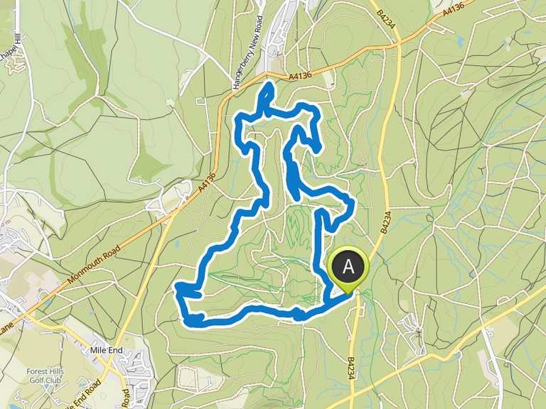 Verderers (blue) trail — Forest of Dean MTB trails | mountain bike ride ...