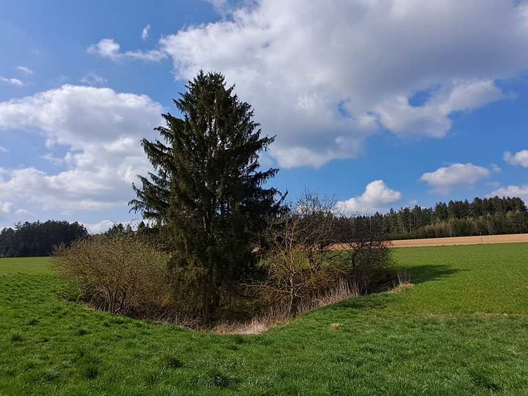 Beilngries - Kevenhüllrunde mit Dolinen | Wanderung | Komoot