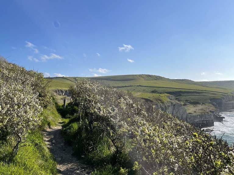 Dancing ledge to Durlston Castle | Wanderung | Komoot