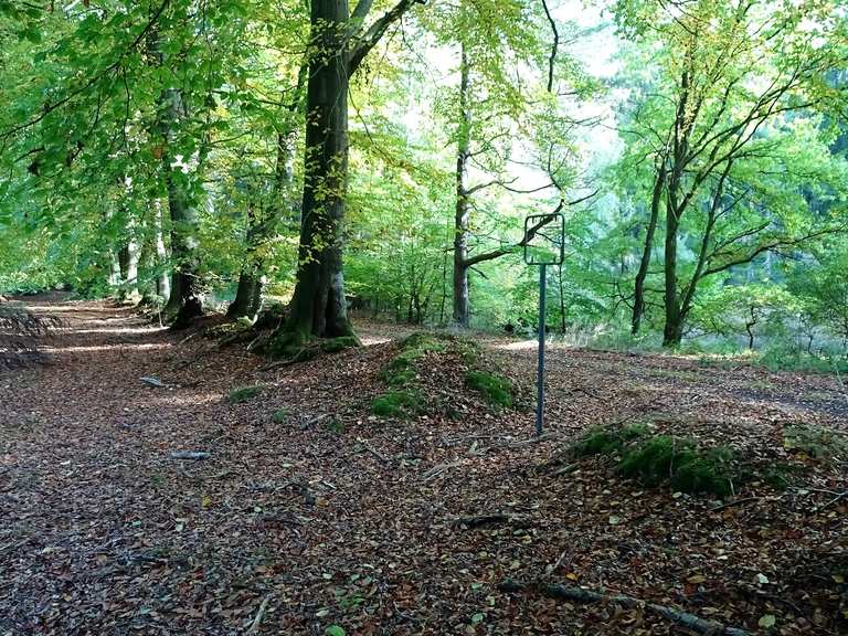 Wanderung - Wittenborn - NSG Wittenborner Heide | Wanderung | Komoot
