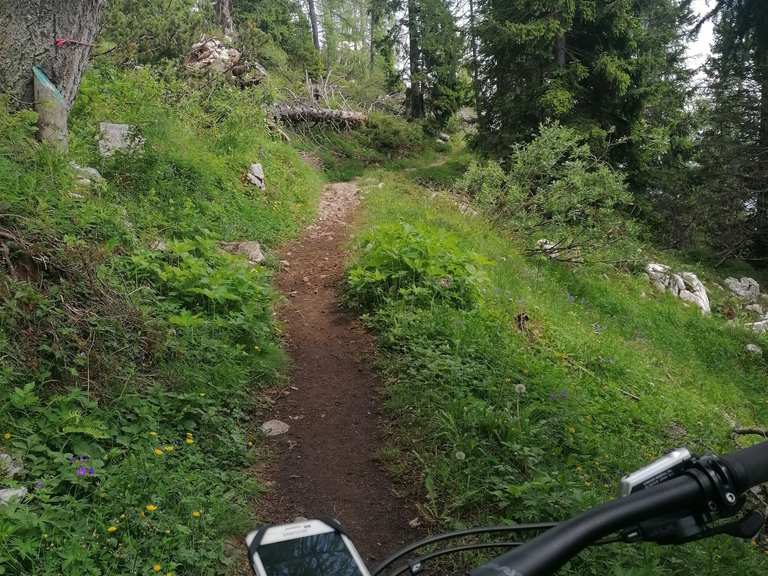 Cima Paganella e sentiero 808 | E-Mountainbike-Tour | Komoot