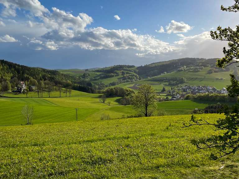 Trekkingpark Sauerland mit Uplandsteig und Diemelsteig | Komoot