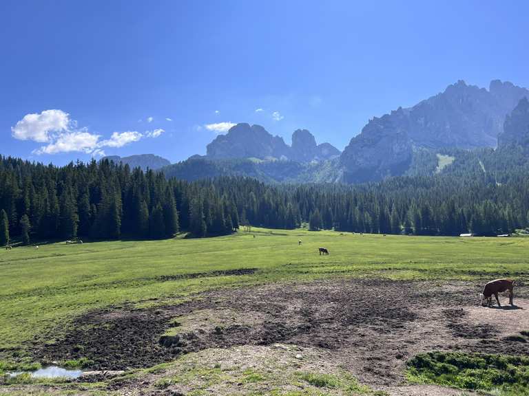 Zum Monte Piano und Monte Piana | Wanderung | Komoot