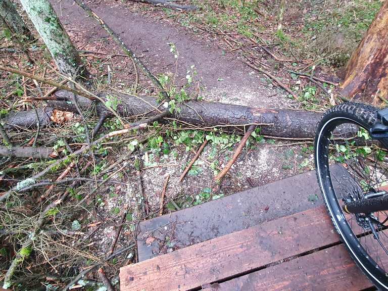 ⚡Zum Holzschnitzplatz bei Pettenhofen | Fahrradtour | Komoot
