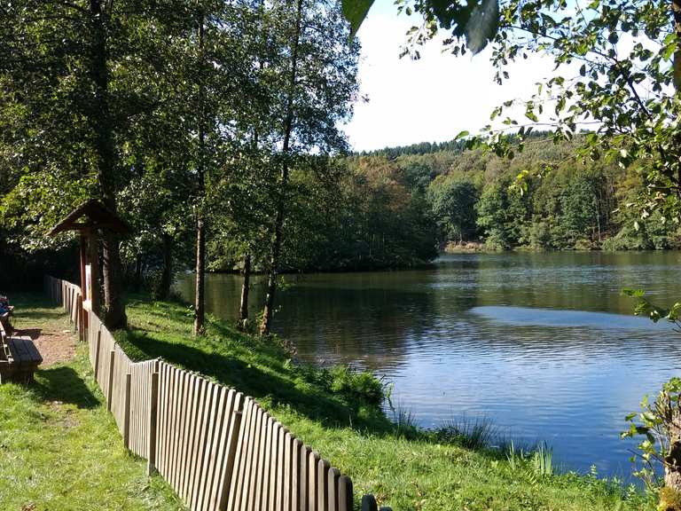 Wiehltalsperre Nespen (Krombacher Insel) | Wanderung | Komoot