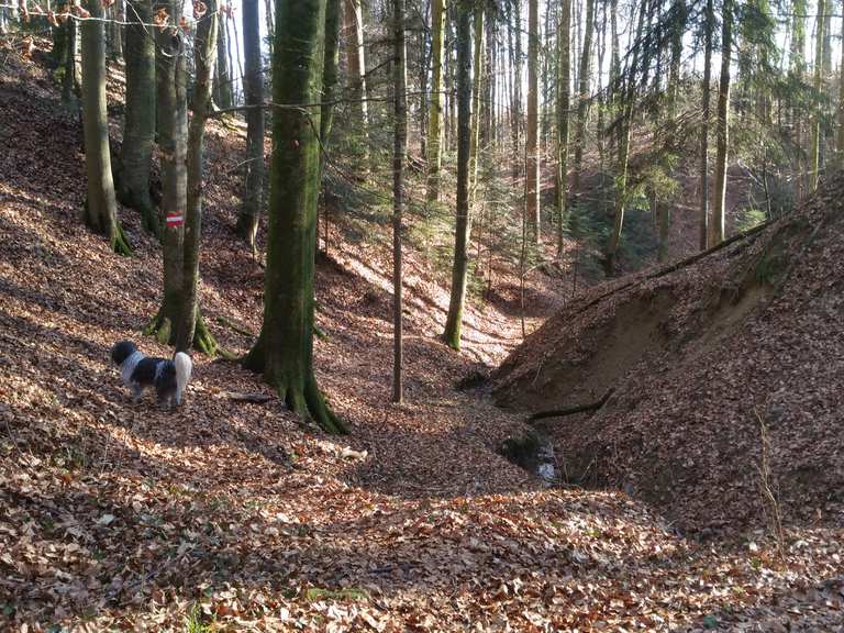 Steinbachklamm Prebuch | Wanderung | Komoot