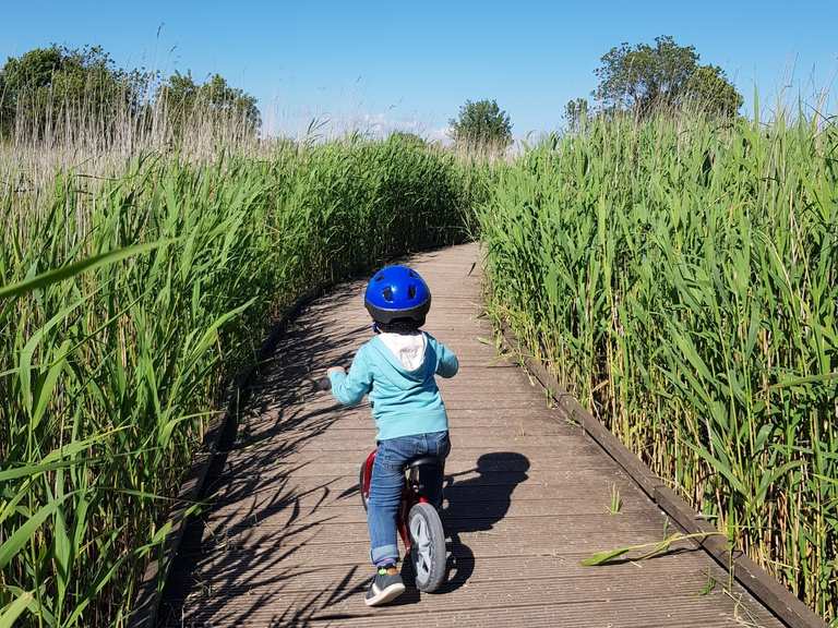 Parc du Plan - La Garde (83) - 24 05 2021 | hike | Komoot