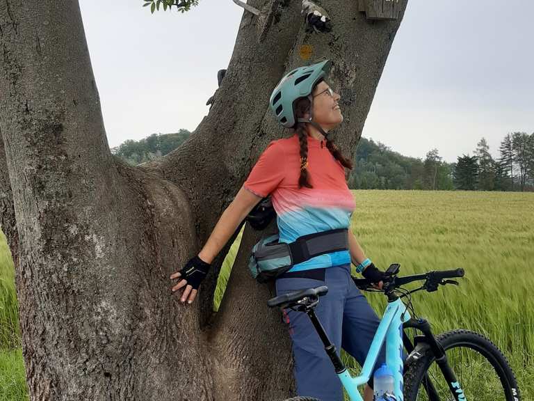 19.05.2024 Altbewährtes | Mountainbike-Tour | Komoot