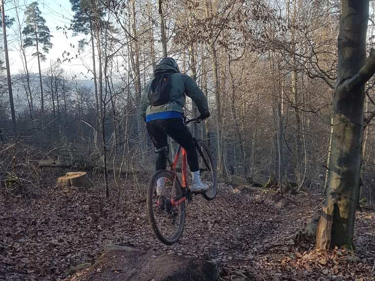 ☀️Trailsurfers 😎🚲🚲 | Mountainbike-Tour | Komoot