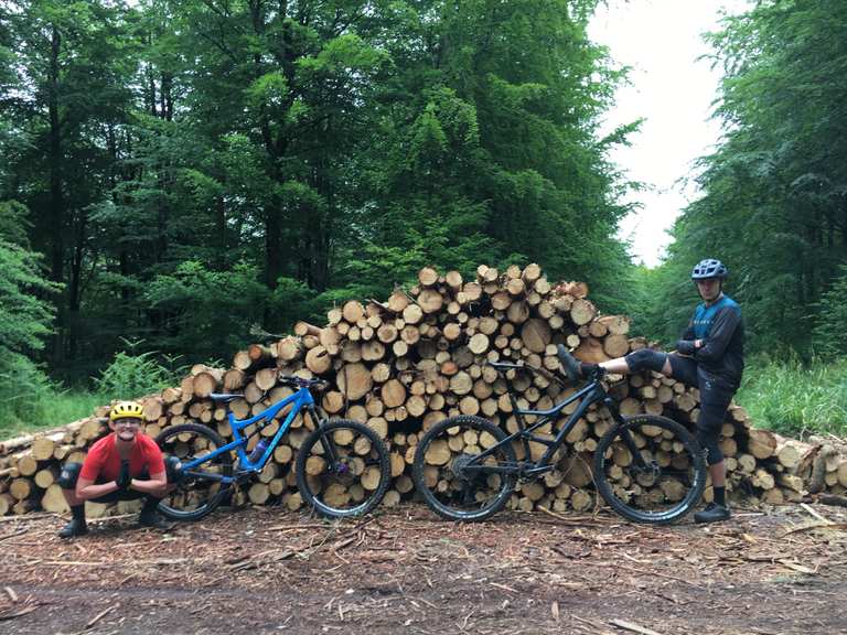 Rowberrow, first trail ride on the 5010 with dead legs | road ride | Komoot