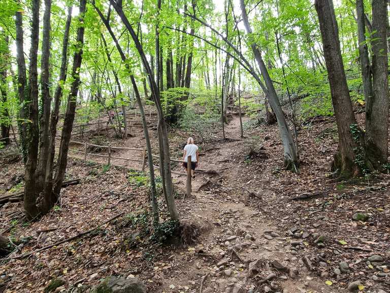 Blick auf den Kalterer See – Durch die Rastenbachklamm und Altenburg ...