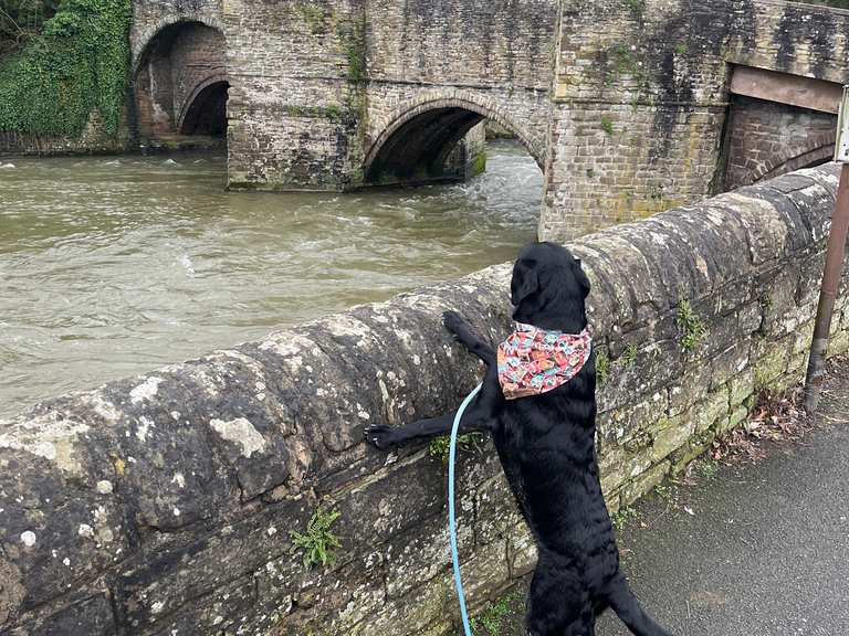 Ludlow – Dinham Bridge loop from Ludlow Town Centre Car Park | hike ...