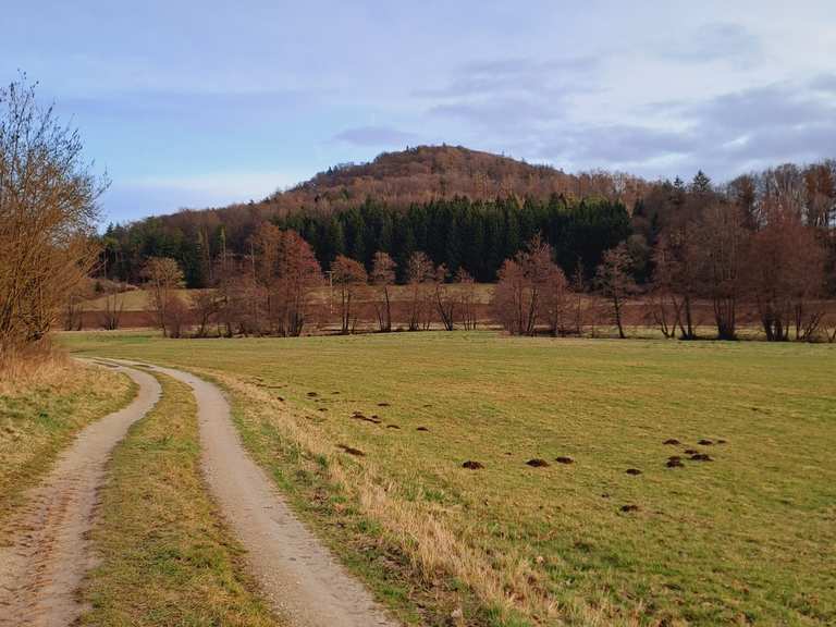 Parsberg - Schwarze Laber/Mühlentour | Wanderung | Komoot