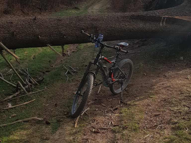 MTB Rothaarsteig | Mountainbike-Tour | Komoot