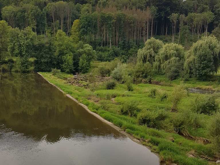 Sindringen am Kocher | Wanderung | Komoot