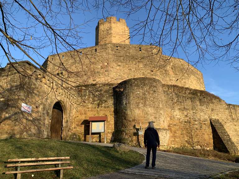 Burg Steinsberg (Sinsheim) | Wanderung | Komoot