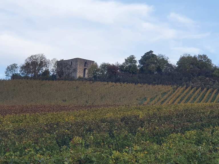 Helfenberg-Wildeck-Annasee | Wanderung | Komoot