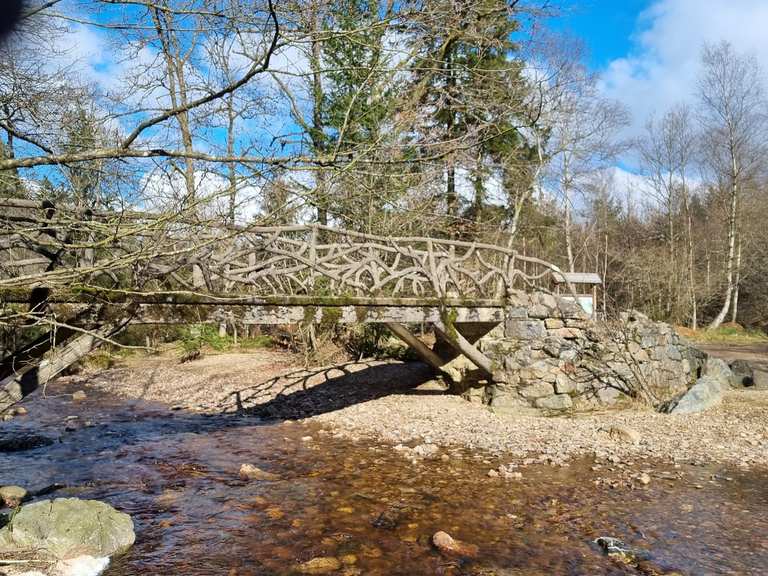 RA#08_Hockai-Belleheid, Hoegne | Wanderung | Komoot