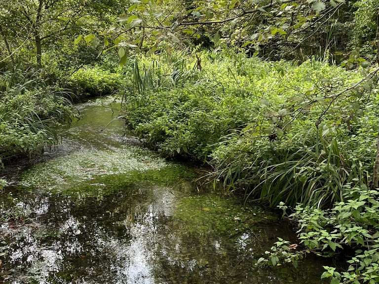 Chess Valley walk. Chesham to Rickmansworth | Wanderung | Komoot