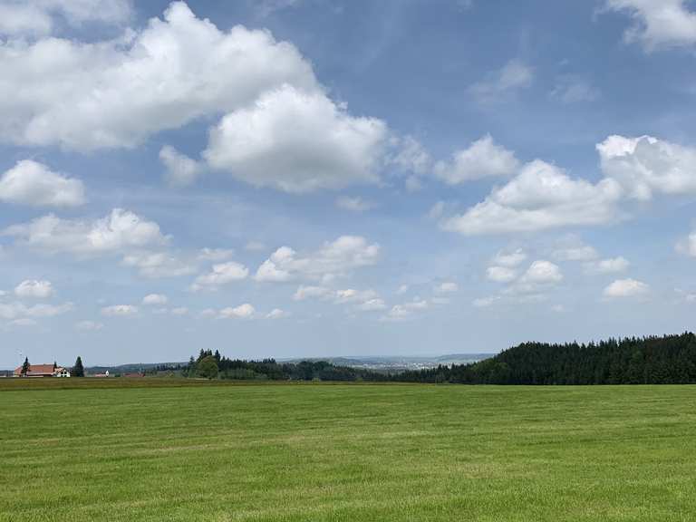 Wald & Wiesen Tour nach 🐷 Schweinlang 🐮 | Rennrad-Tour | Komoot