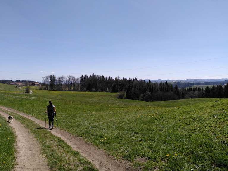 Illerdurchbruch Kalden | Wanderung | Komoot