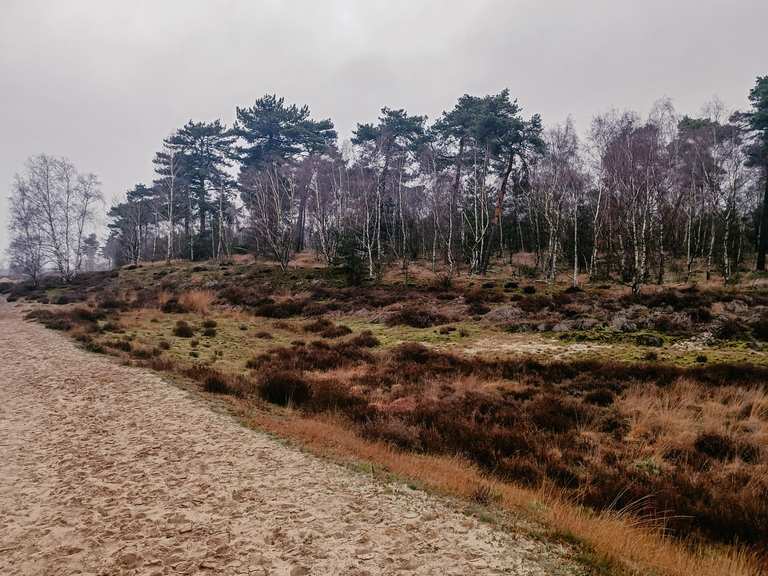 Maasduinen - Reindersmeer und Nationalpark | Wanderung | Komoot