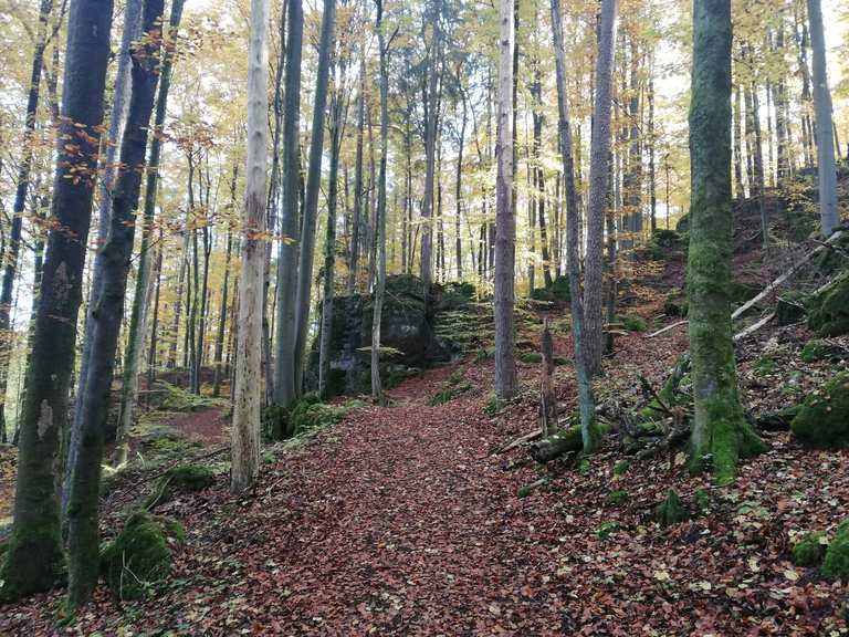 Burggaillenreuth • Wichsenstein • Wolfsschlucht | Mountainbike-Tour ...