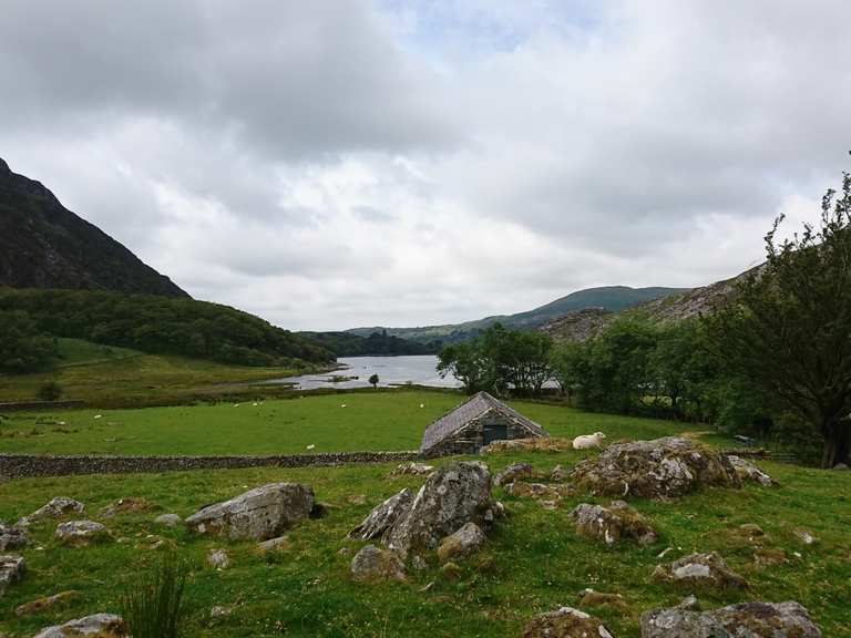 Wales: Roman Steps und Bwlch Drws Ardudwy, rund um den Rhinog Fawr ...