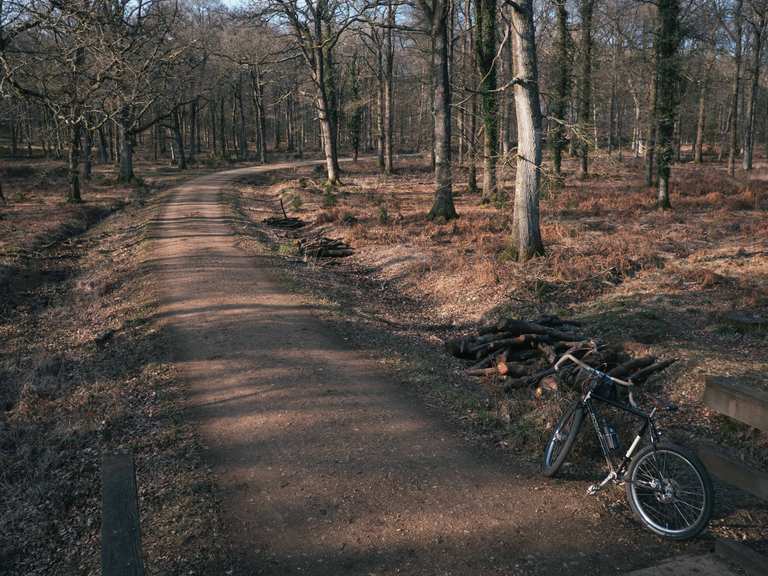 Point to point New Forest routes | Komoot