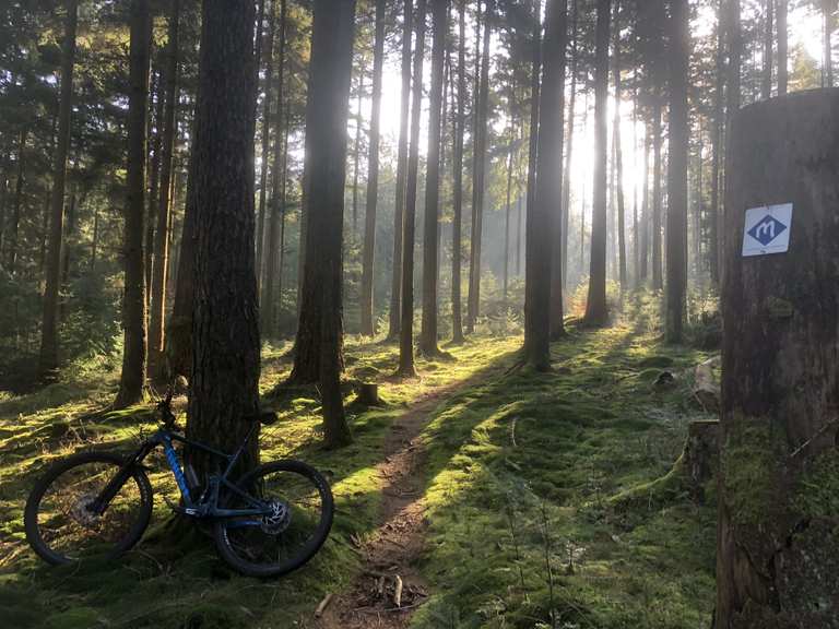 Trails und Panoramen | Mountainbike-Tour | Komoot