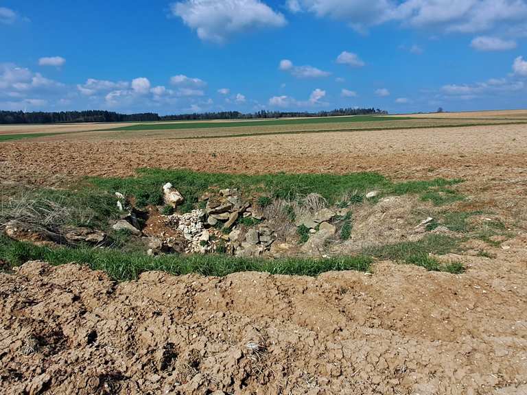 Beilngries - Kevenhüllrunde mit Dolinen | Wanderung | Komoot