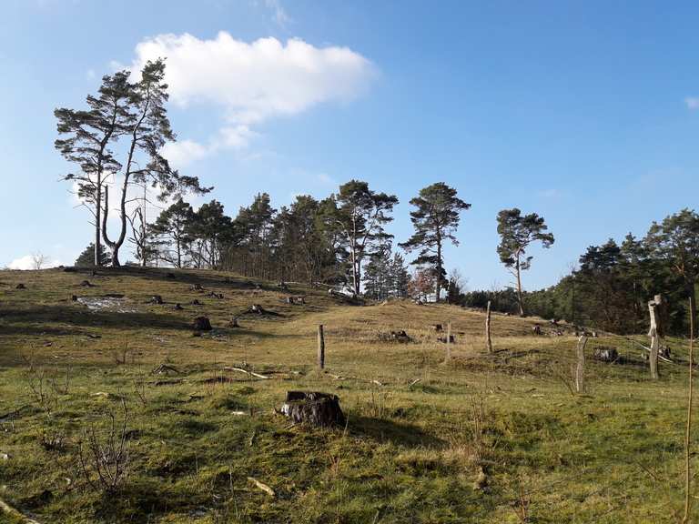 Rundwanderung "Bugk und seine Sahara" | Wanderung | Komoot