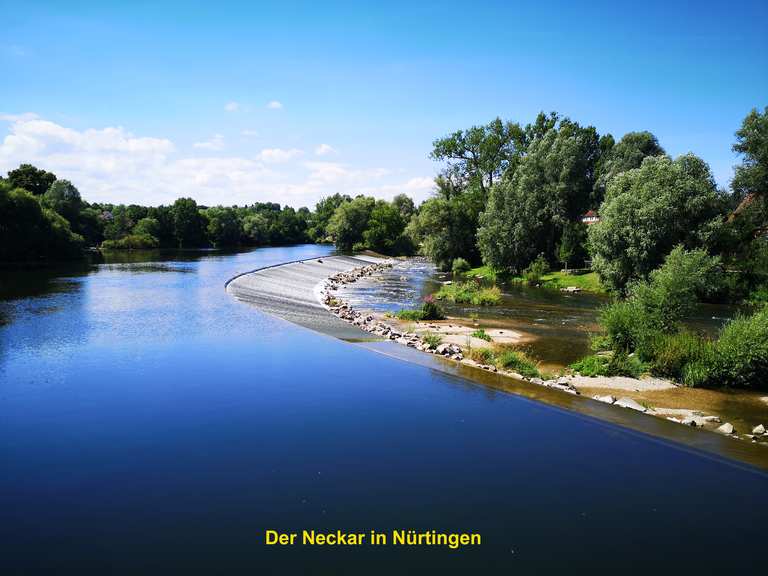 Der Neckar und seine Zuflüsse | Komoot