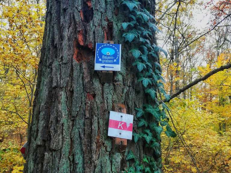Herbstliches rund um Questenberg - HWN 210 schöne Aussicht, 212 An der ...