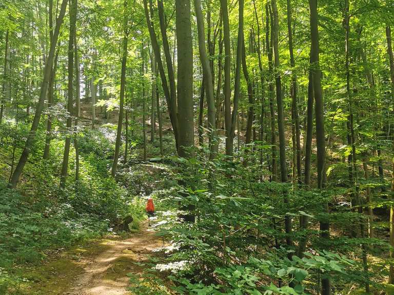 Trekking im Steigerwald | Komoot