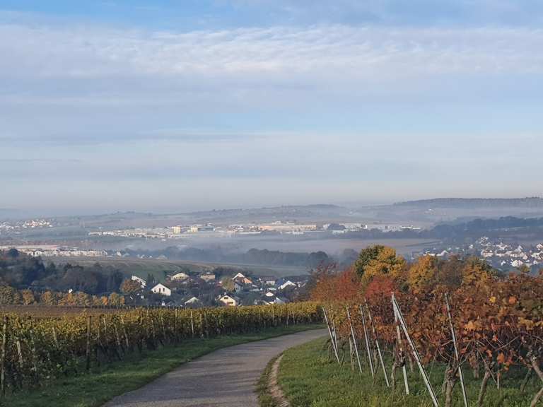 Helfenberg-Wildeck-Annasee | Wanderung | Komoot