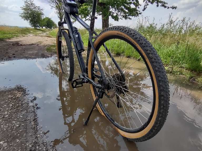 Mountainbike-auf gewohnten Wegen | Mountainbike-Tour | Komoot