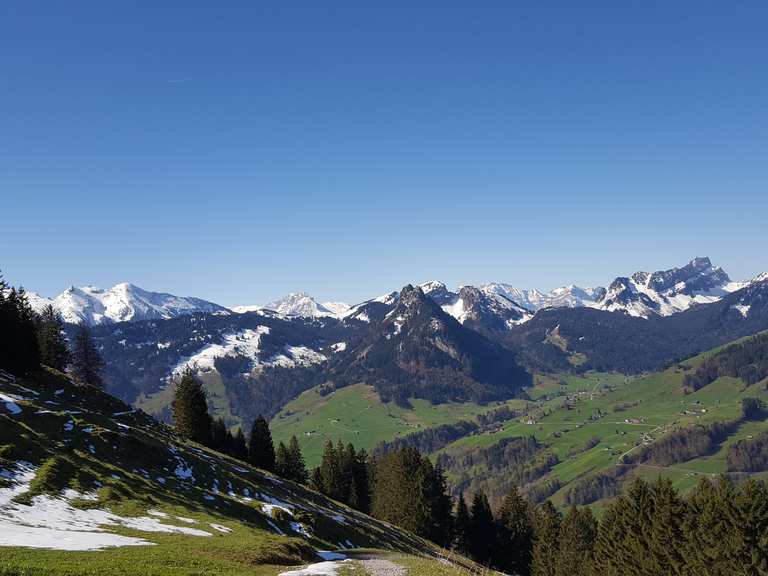 Nesslau Stockberg Stein Nesslau | Wanderung | Komoot