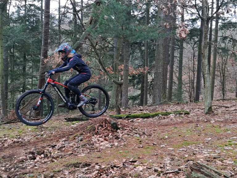 Mountainbike-Tour...zu kurze Steckachse hinten getestet ...