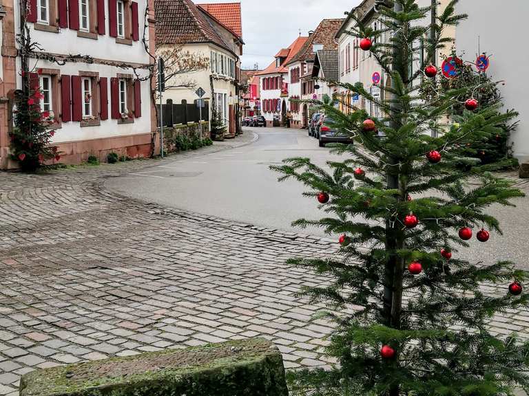 WEIHNACHTSMARKT Rhodt unter Rietburg | Wanderung | Komoot